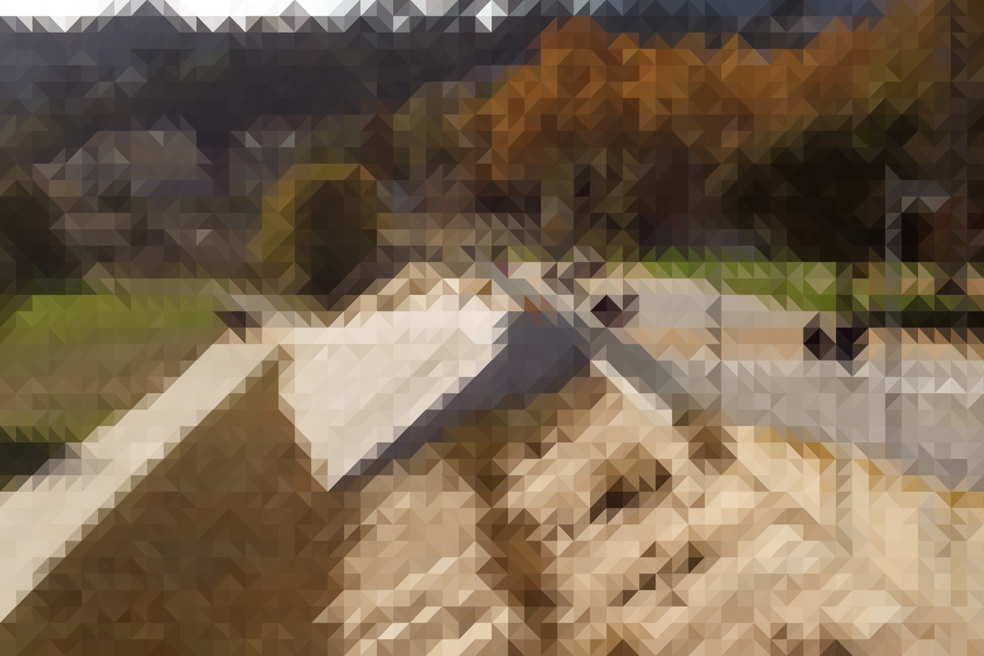 Impact of a riverside intervention on health - BlueHealth