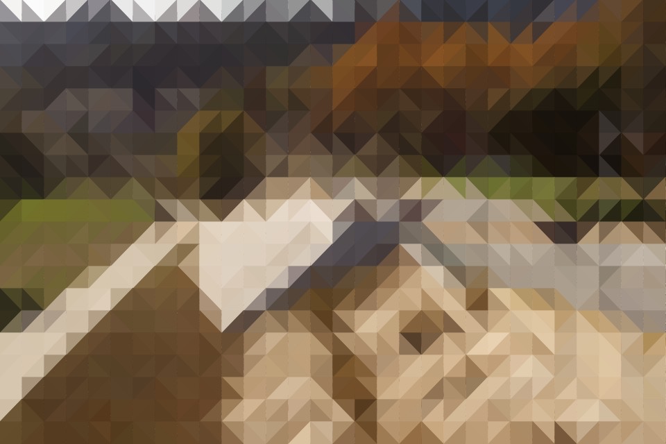 Impact of a riverside intervention on health - BlueHealth