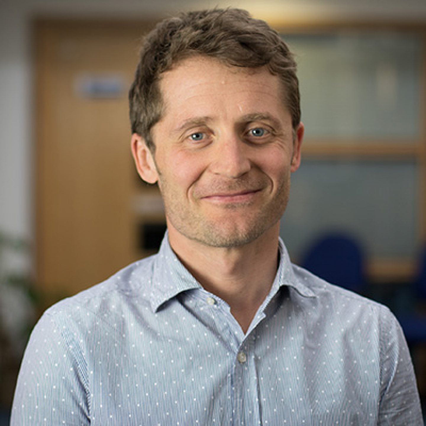 International survey - BlueHealth