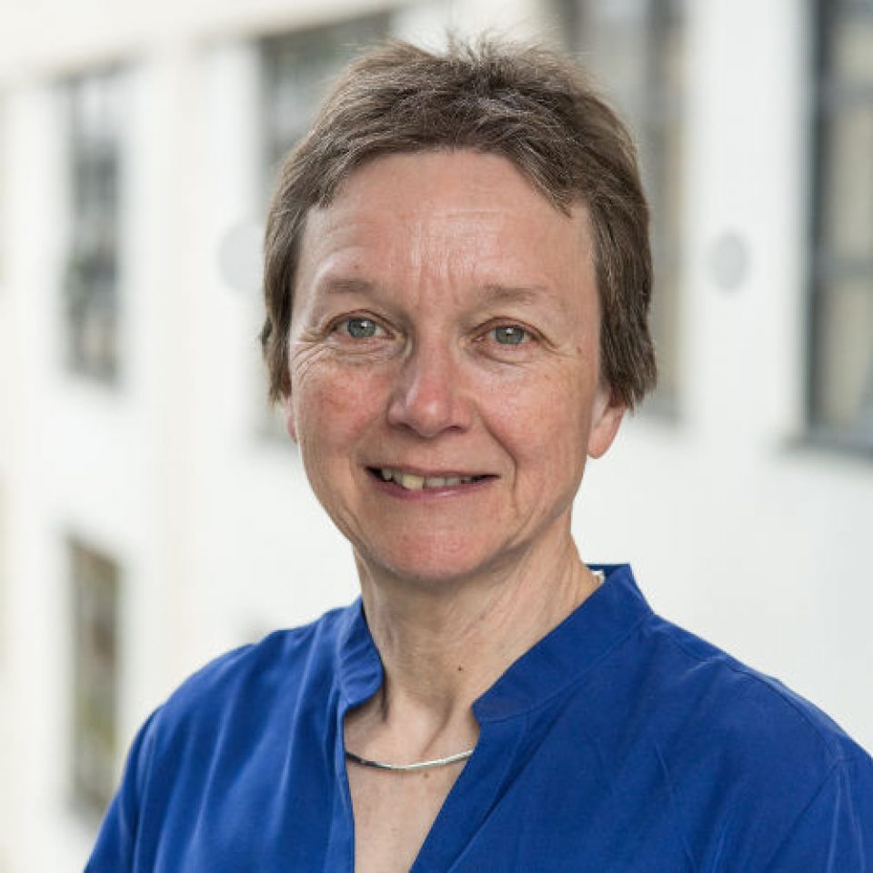 Hilary Graham - BlueHealth