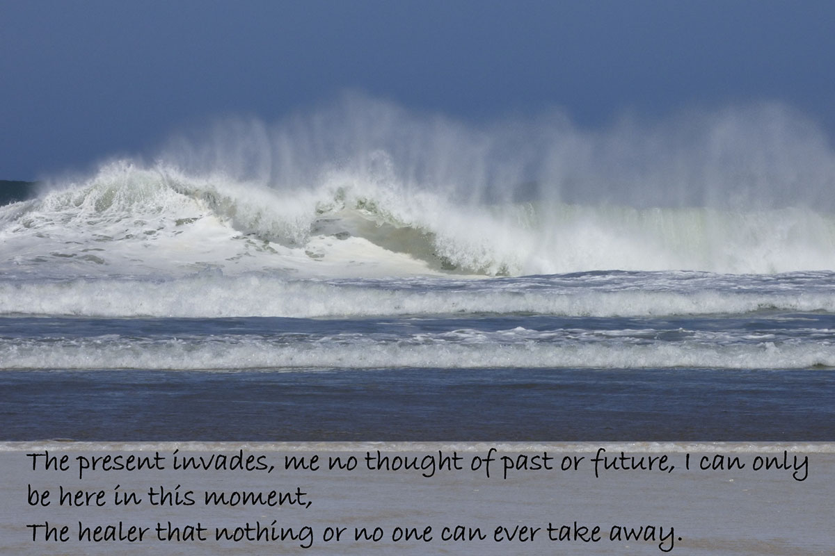 My BlueHealth - BlueHealth